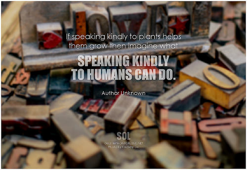 Nice vs Kind | Jonathan Manske Coaching